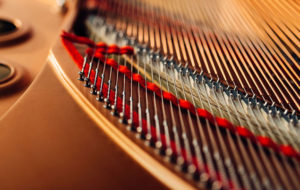 Le guide du piano et des instruments musicaux